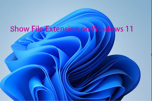 Show File Extensions Windows 11 via Various Sources - MiniTool ...