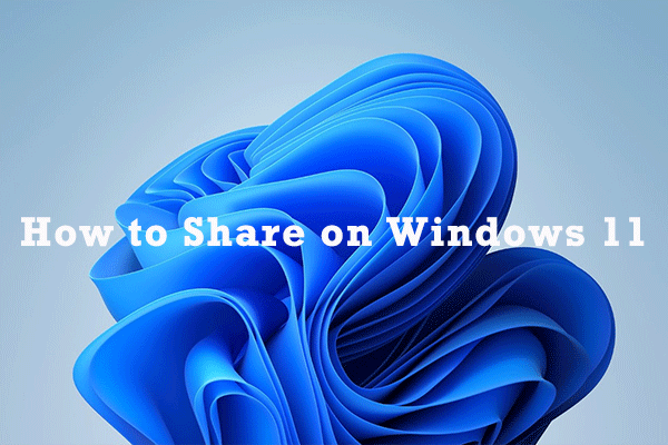 How to Share a File/Folder/Drive on Windows 11? - MiniTool Partition Wizard