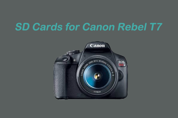 How to Choose the Best SD Cards for Canon Rebel T7? [Answered ...