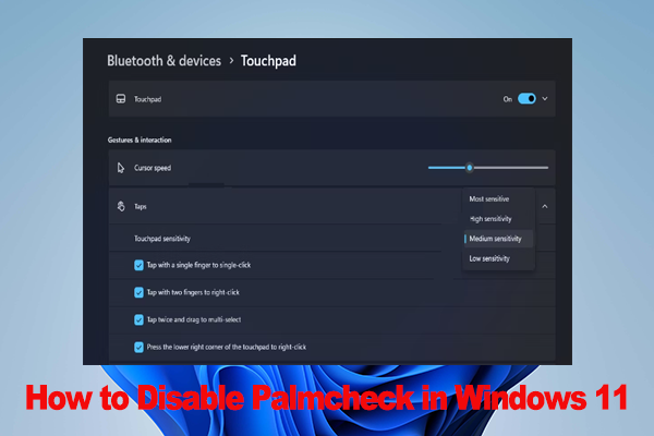 3 Simple Ways to Fix Windows 11 Can’t Disable Palmcheck