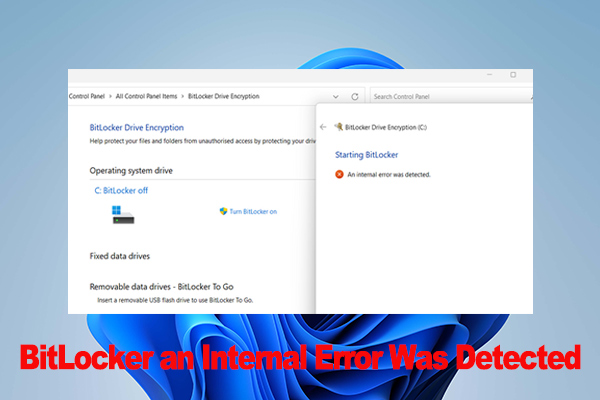 Fixed Bitlocker An Internal Error Was Detected On Windows 11 10