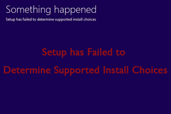 Fixed Setup Has Failed To Determine Supported Install Choices
