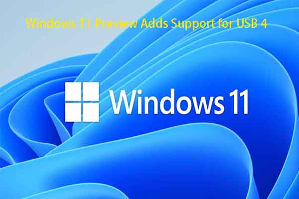 Microsoft Adds Support for USB 4 80Gbps in Win11 23615 Build
