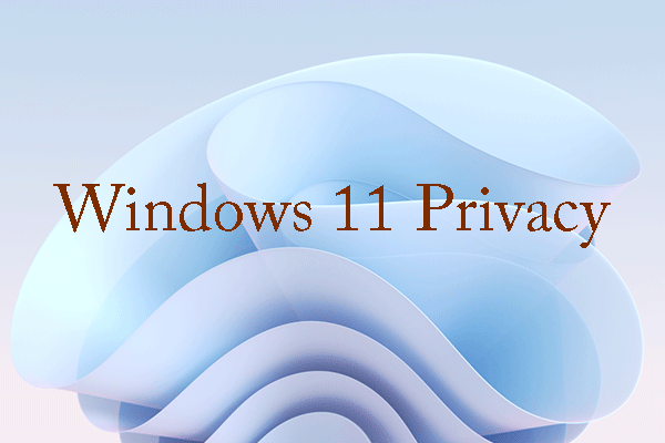 How to Protect Your Privacy in Windows 11 [Easy Ways]