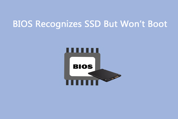 BIOS Recognizes SSD But Won’t Boot? Fix It Now