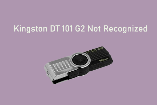Kingston DT 101 G2 Not Recognized? 3 Methods to Fix It