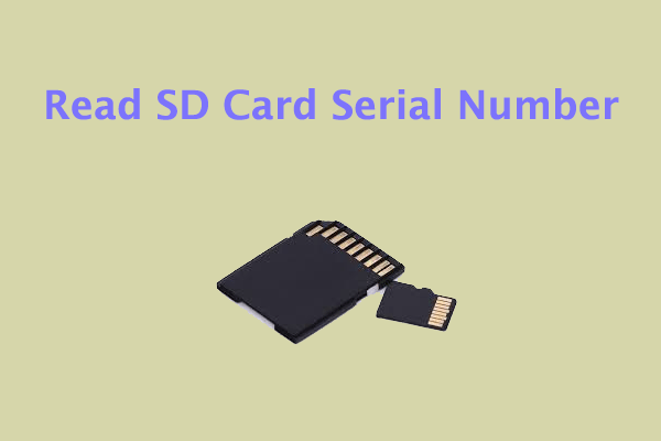How to Read SD Card Serial Number in Windows 10/11? [3Ways]