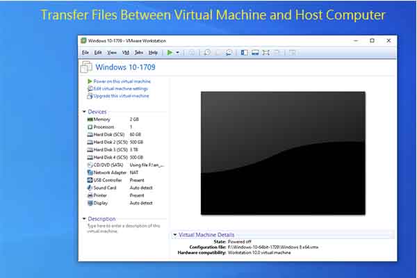 Transfer Files to and from Virtual Machines -3 Easy Methods