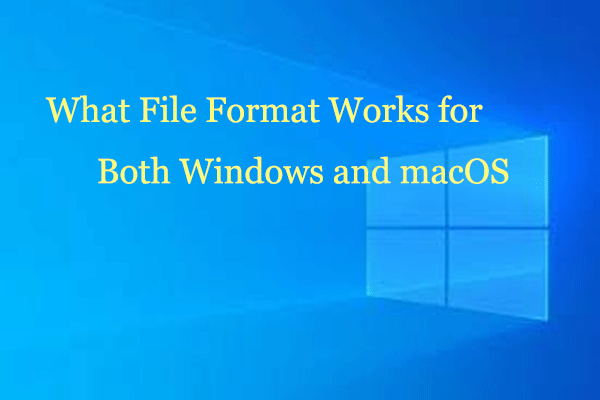 What File Format Works for Both Windows and macOS? -Results