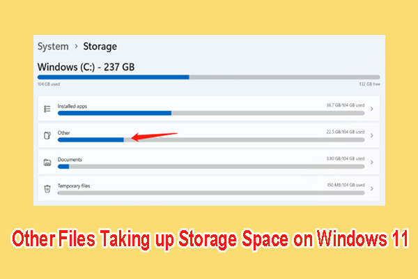 Exact Tips: Other Files Taking up Storage Space on Windows 11/10