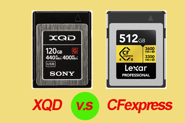 Unlock the Difference Between XQD vs CFexpress Cards