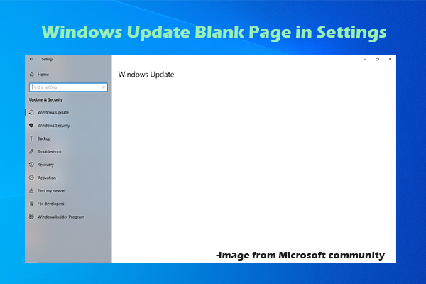 Instant Methods to Remove Blank Screen in Windows Update