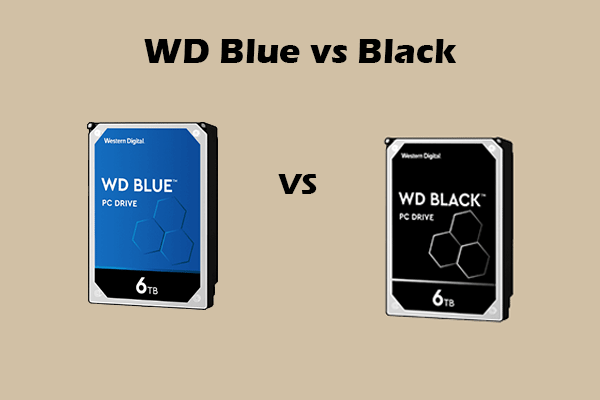 WD Blue vs WD Black HDD: Which Hard Drive Is Right for You?