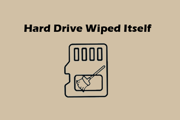 Hard Drive Wiped Itself? Here’s a Guide to Fix It