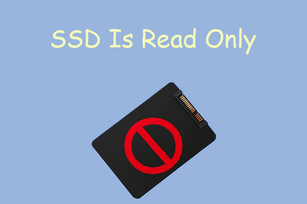 SSD Is Read Only Mode: What It Means and How to Fix It?