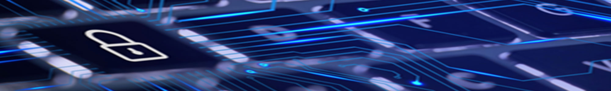 SSD RAID: Is It Necessary and How to Realize It with a Low Cost?