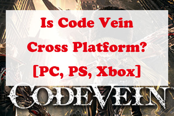 Is Code Vein Multiplayer? How To Play It with Your Friends?