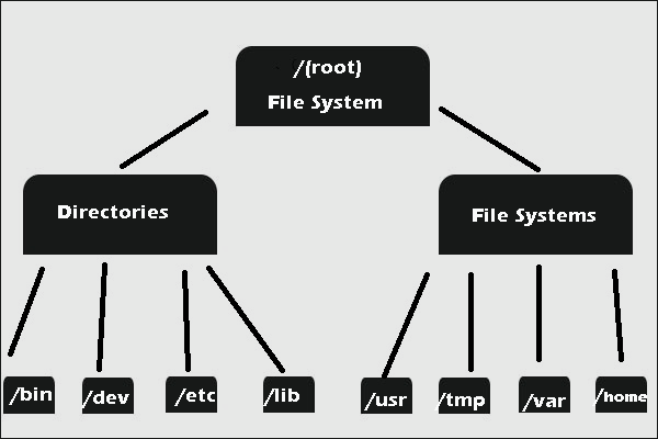 What Is Windows File System MiniTool Partition Wizard
